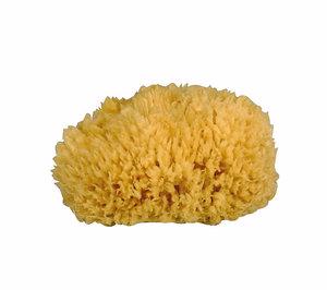 Éponge naturelle pour soins chevaux "Gerby"